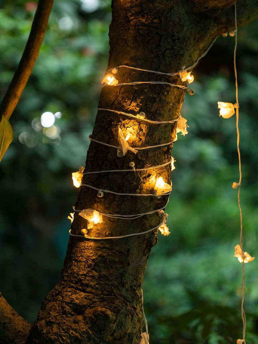 Tim Tim Light : Assorted – The Shop India